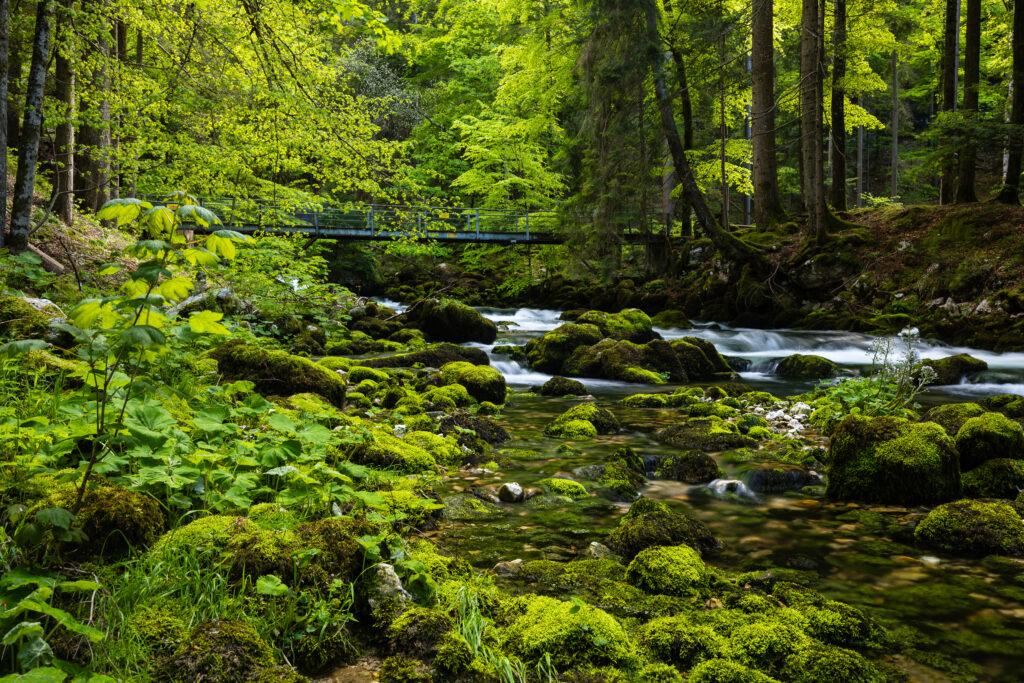 Les Grottes de Vallorbe | Golf Passport Switzerland